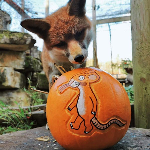 Best Halloween Events For Toddlers 2022 Spooky Days Out 
