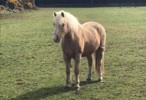 11 Fun Things To Do In Aberdeen With Toddlers in 2023