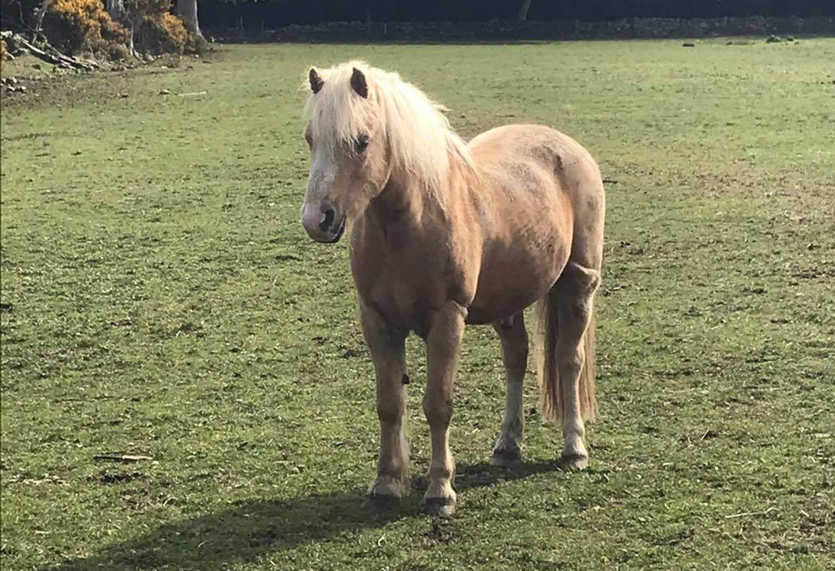 11 Fun Things To Do In Aberdeen With Toddlers in 2023