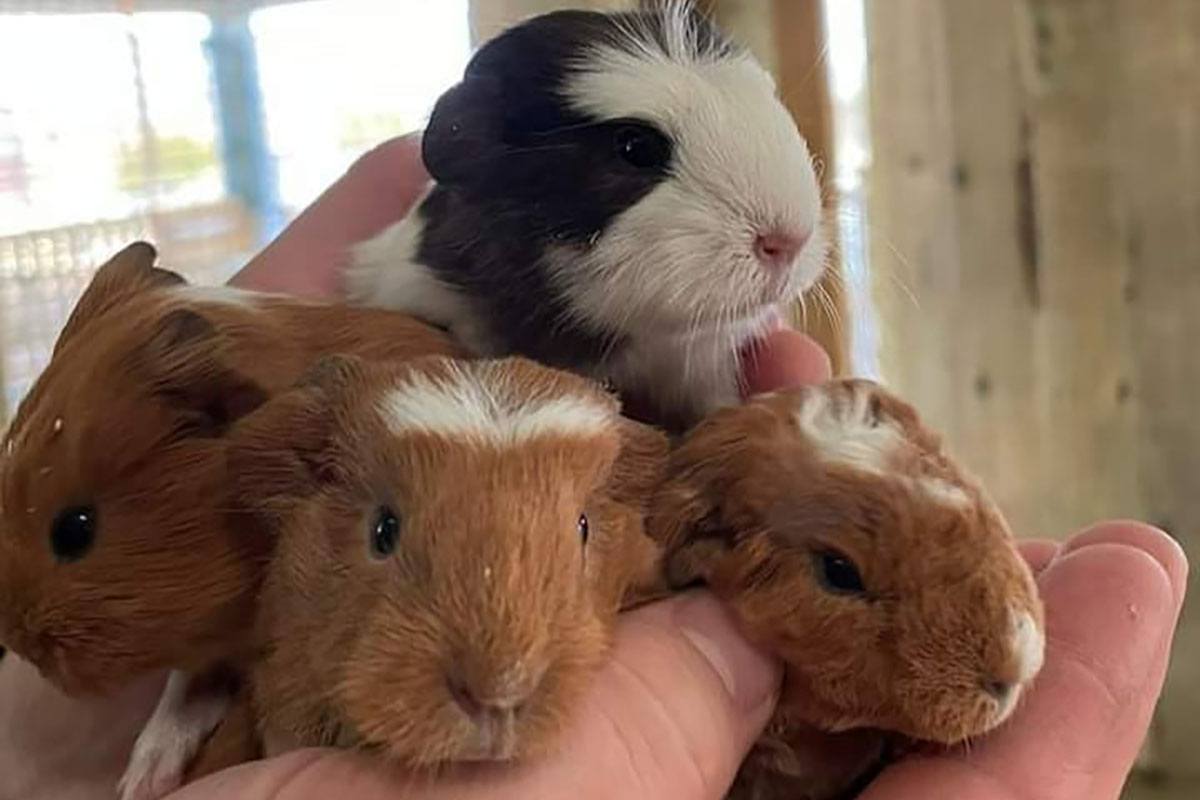 11 Fun Things To Do In Aberdeen With Toddlers in 2023