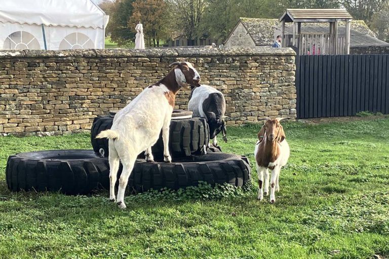 18 Fun Things To Do In Oxford With Toddlers in 2023