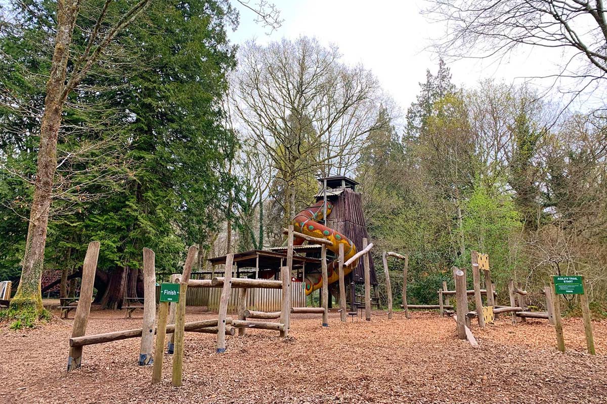 20 Fun Things To Do In Devon With Toddlers in 2023
